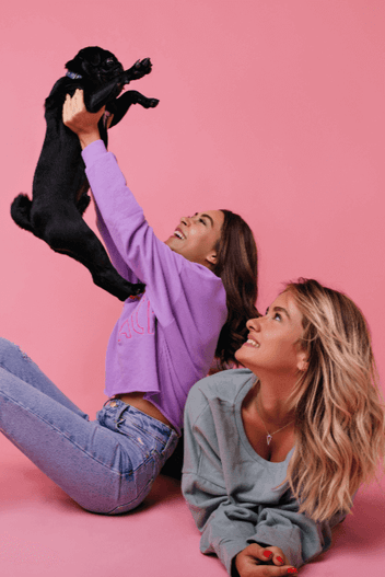 Dr. Paws Choice - Products Promoting Your Pets Healthy & Clean Life