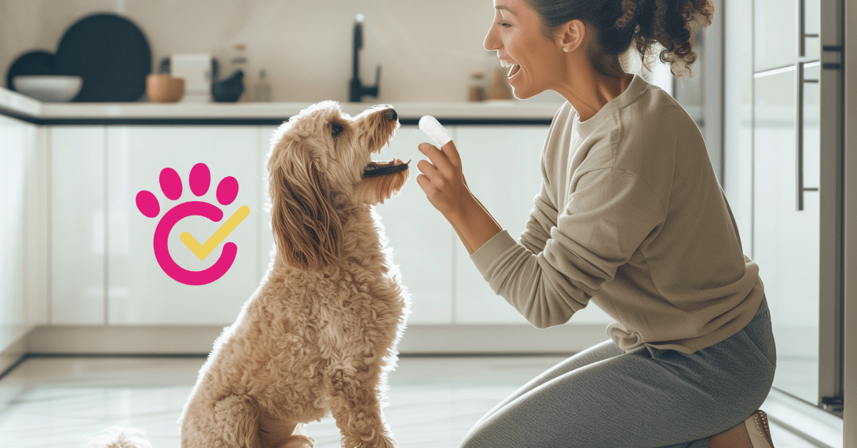 Dr. Paws Choice - Products Promoting Your Pets Healthy & Clean Life